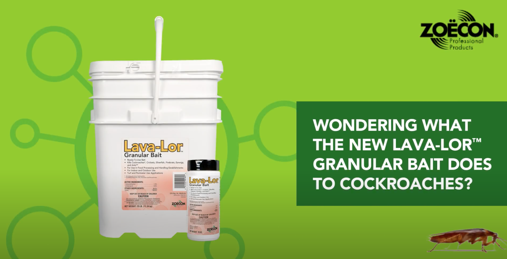 Professional Roach Killer | Lava-Lor® Granular Bait