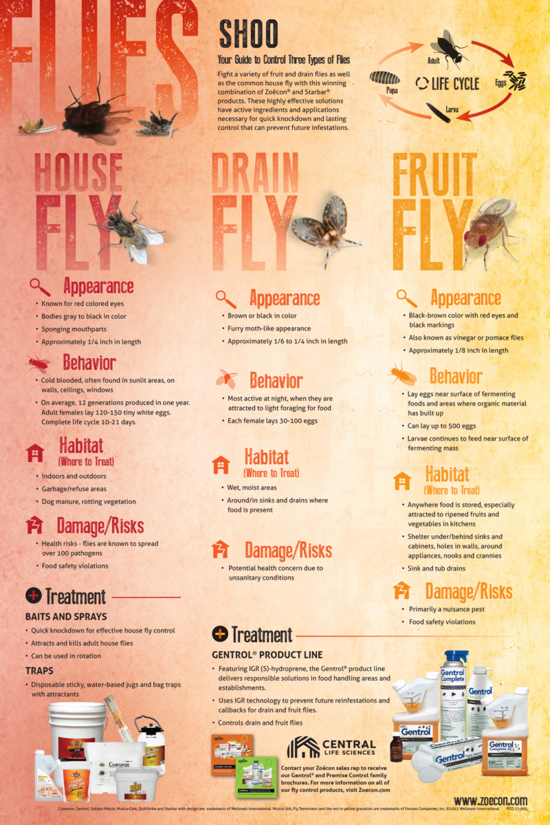 Download or Order Zoëcon Posters